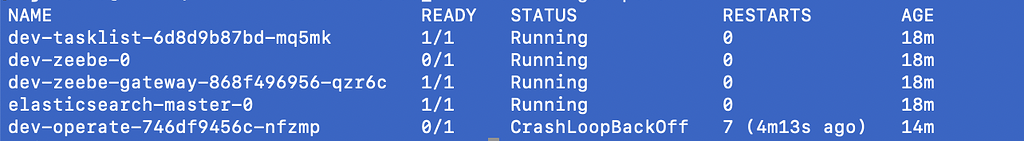 Operate - New server pods configuration (crashLoopBack) - Discussion & Questions - Camunda Forum
