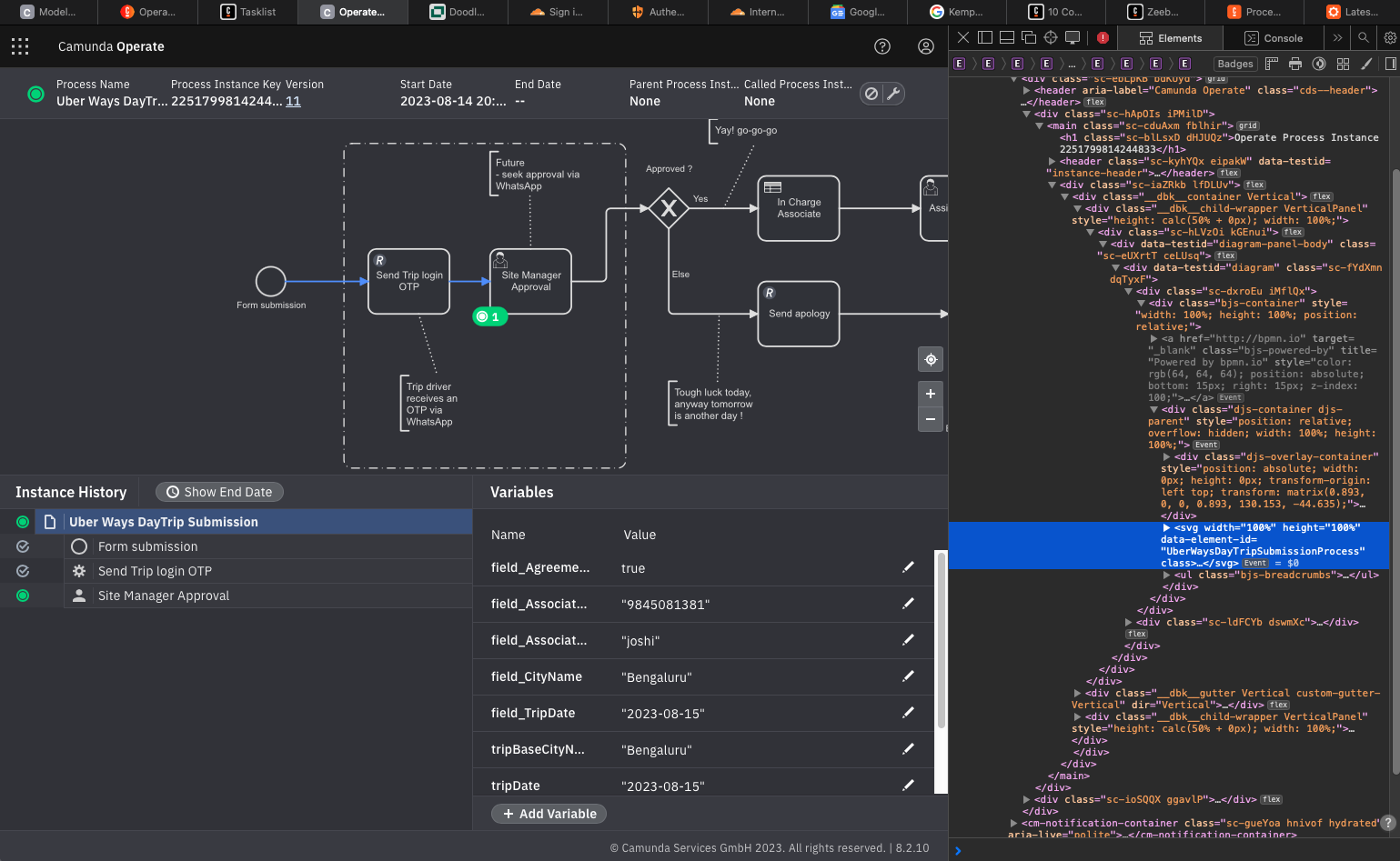 Provide Visual Instance View Svg Via Api Call Discussion And Questions Camunda Forum 